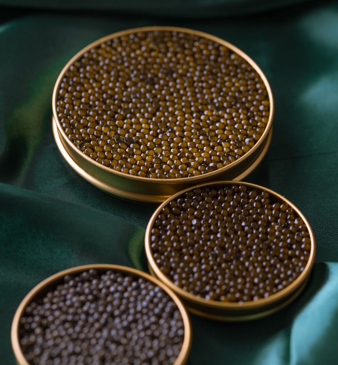 Caviar Classic Baeri | Achetez Caviar Baeri- Boîte Origine (1000g)